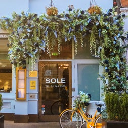 SOLE Seafood & Grill