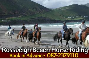 Visit Rossbeigh Beach Horse Riding Centre with Discover Ireland