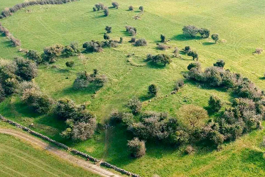 Visit The Hill of Uisneach with Discover Ireland