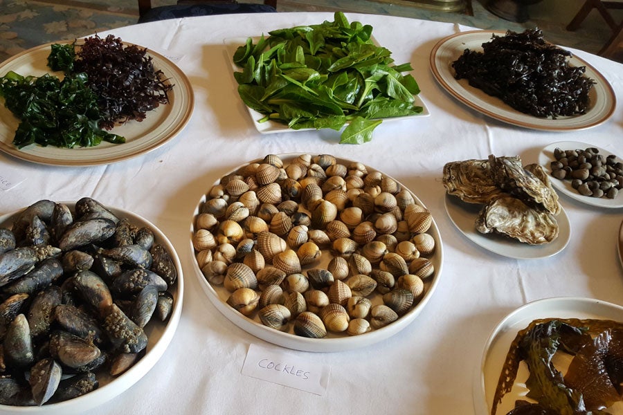 Visit Wild Atlantic Cultural Tours with Discover Ireland