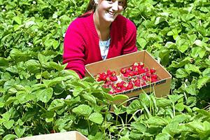 Visit The Apple Farm with Discover Ireland