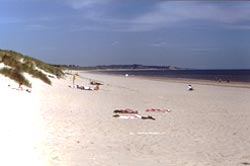 Visit Curracloe with Discover Ireland