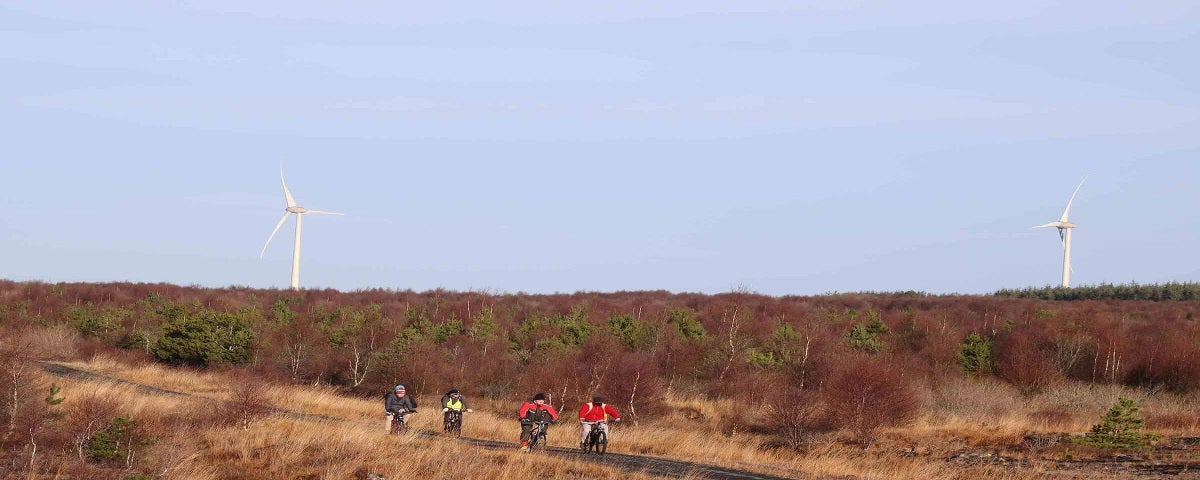 Visit Lough Boora Discovery Park with Discover Ireland