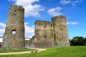 Visit Ferns Castle with Discover Ireland