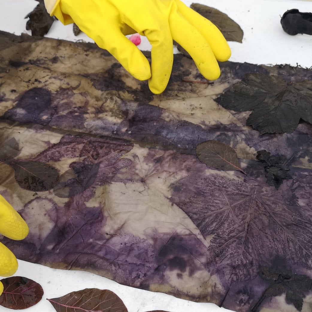 Visit Eco-Printing on Paper Natural Dye Taster with Discover Ireland