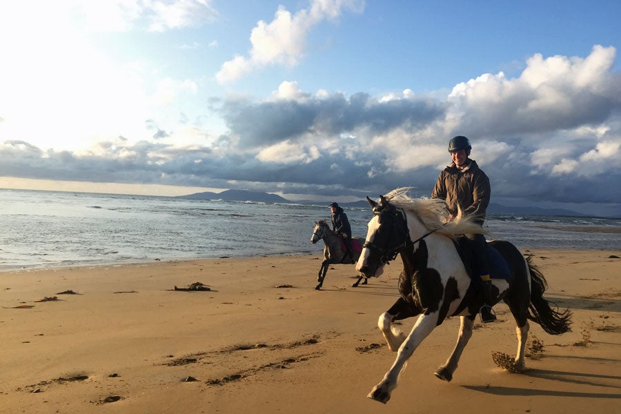 Visit Island View Riding Stables with Discover Ireland