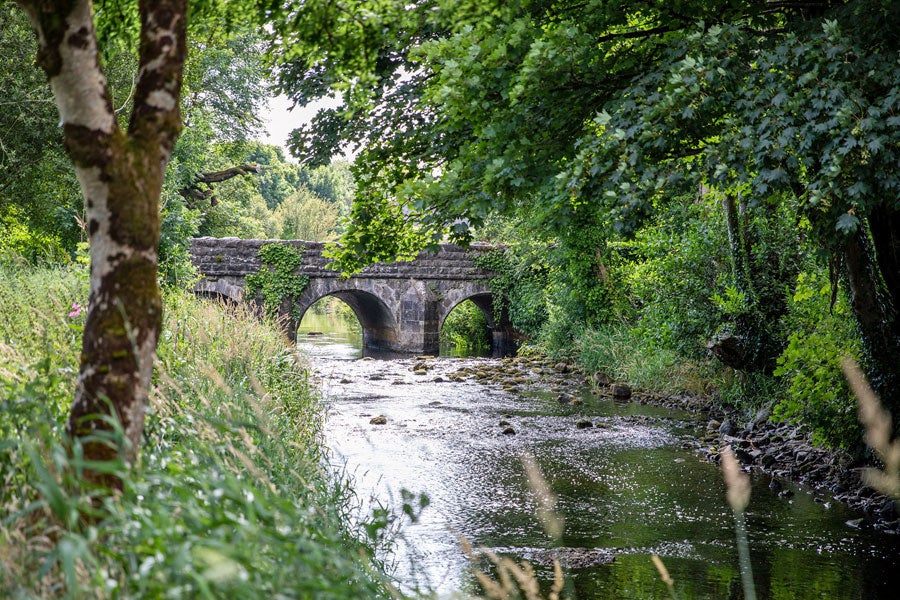 Visit Turlough Park with Discover Ireland
