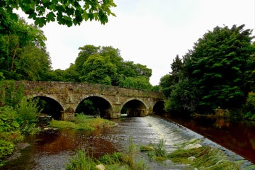 Plan Your Visit to Vibrant Kilkenny with Discover Ireland