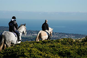 Visit The Paddocks Riding Centre with Discover Ireland
