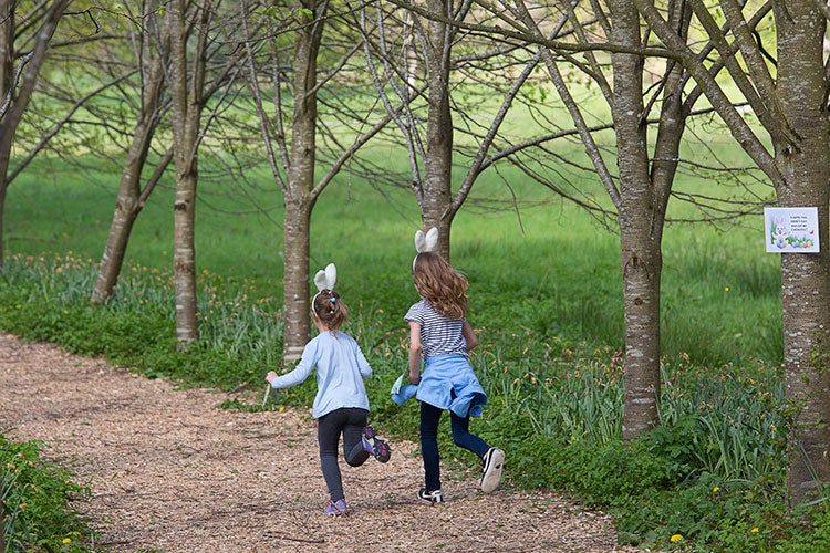 Visit Easter Quest at Birr Castle Demesne with Discover Ireland