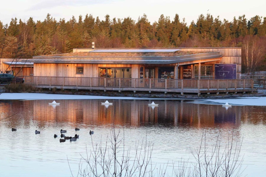 Visit Lough Boora Discovery Park with Discover Ireland