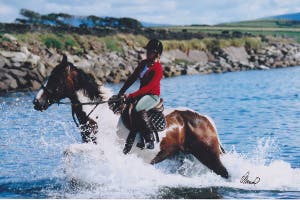 Visit Dingle Horse Riding with Discover Ireland