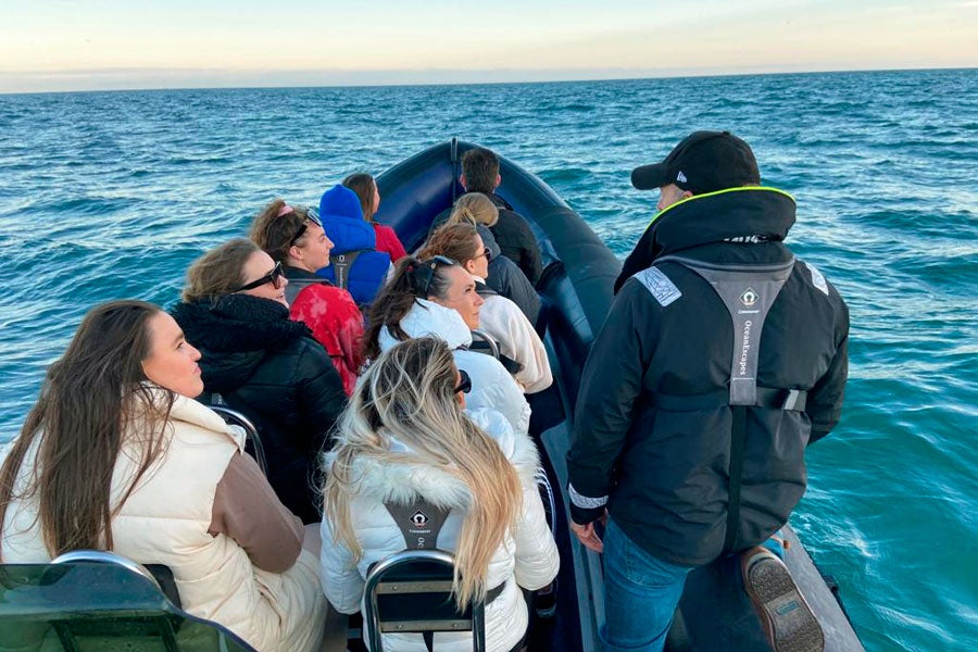Visit Ocean Escapes with Discover Ireland