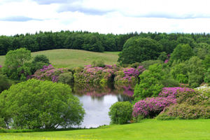 Visit Rossmore Forest Park with Discover Ireland