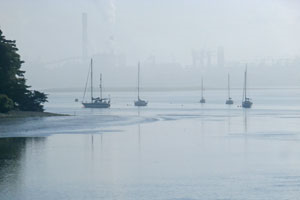 Visit Foynes Island Viewpoint with Discover Ireland