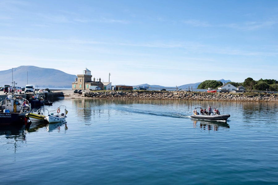 Visit Blacksod Sea Safari with Discover Ireland