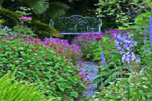 Visit Gash Gardens with Discover Ireland