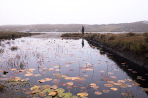 Visit Derrigimlagh with Discover Ireland