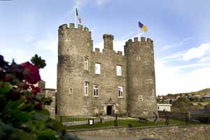 Visit Enniscorthy Castle Visitor Information Point with Discover Ireland
