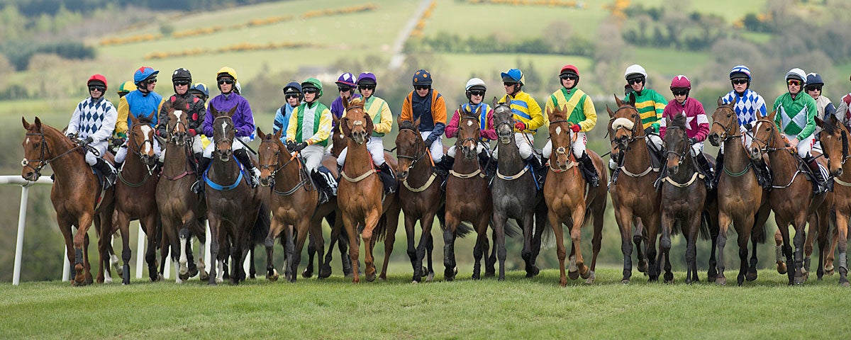 Visit Punchestown Racecourse with Discover Ireland