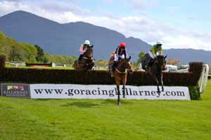 Visit Killarney Racecourse with Discover Ireland