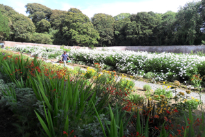 Visit Colclough Walled Garden with Discover Ireland
