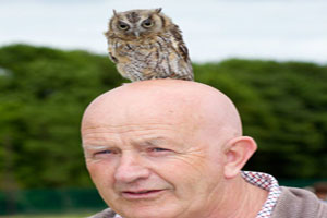 Visit Mayfield Birds of Prey Falconry with Discover Ireland