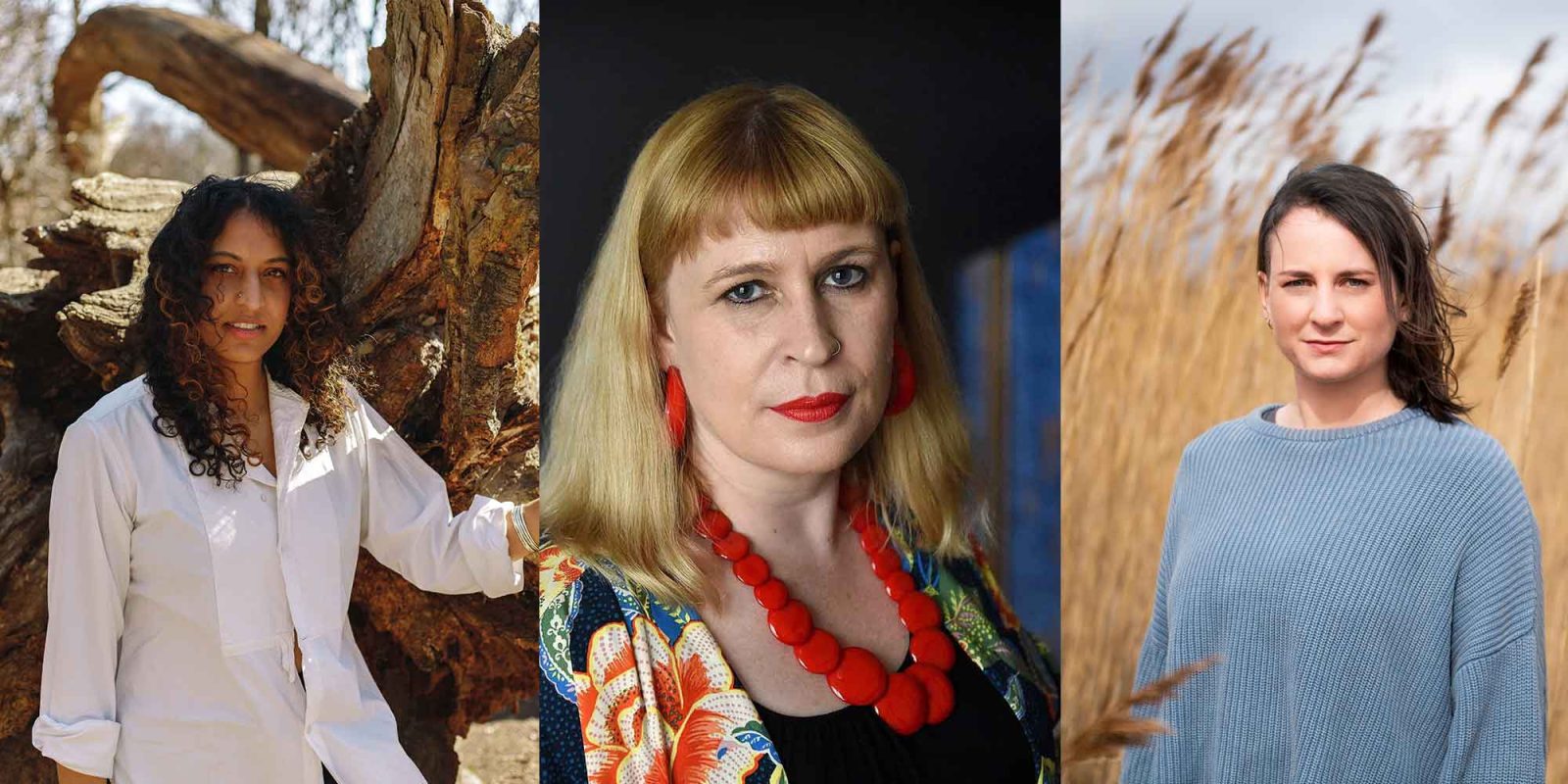 Dublin Book Festival: The Stinging Fly – This So-Called Writing Life