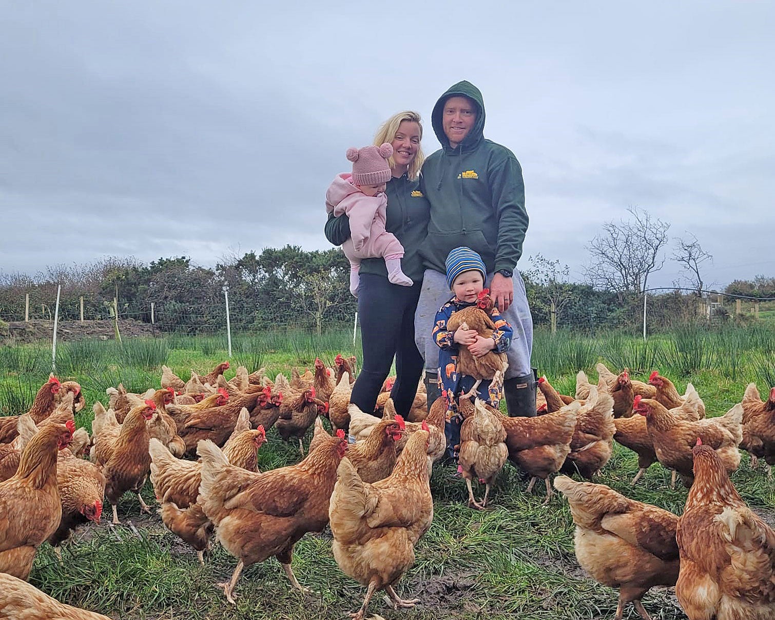Visit Mulroy Meadow Farm with Discover Ireland
