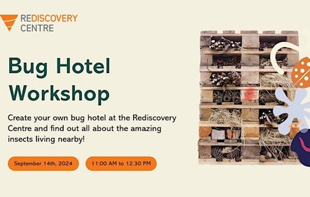 Bug Hotel Workshop
