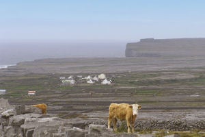 Visit Árainn - Inis Mór (Inishmore) with Discover Ireland