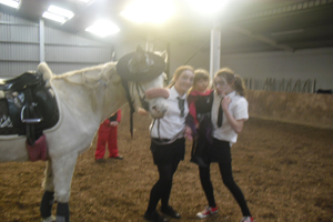 Visit Cooley Equestrian Centre with Discover Ireland