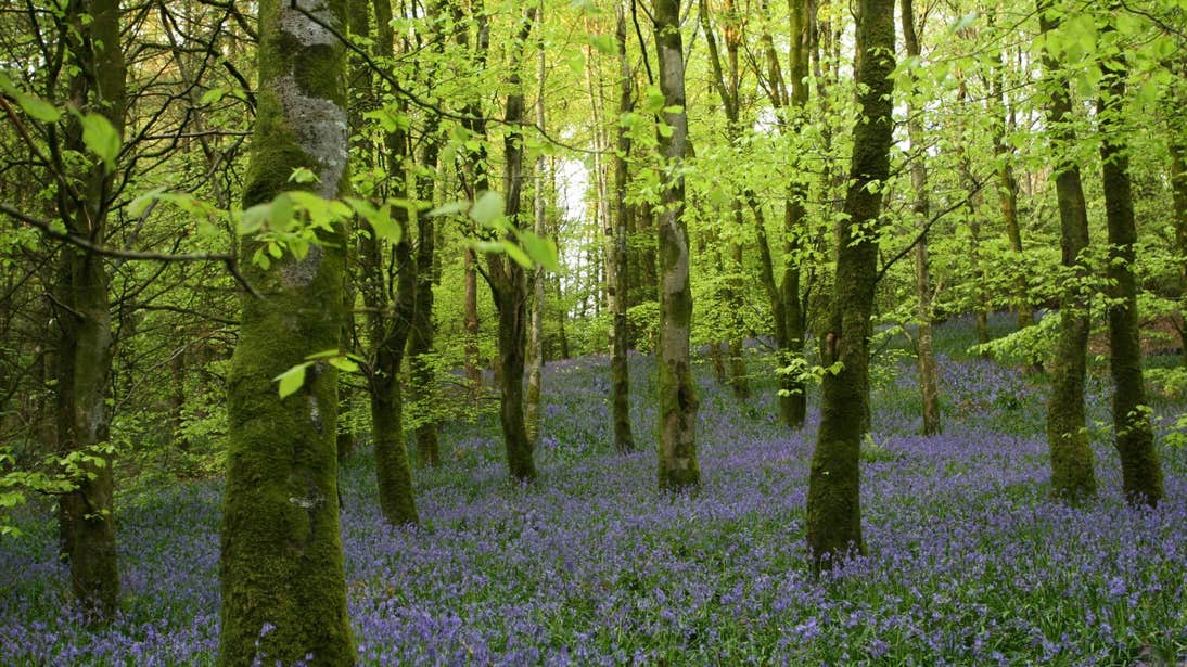 Explore Monaghan - Ireland’s Best Kept Secret with Discover Ireland