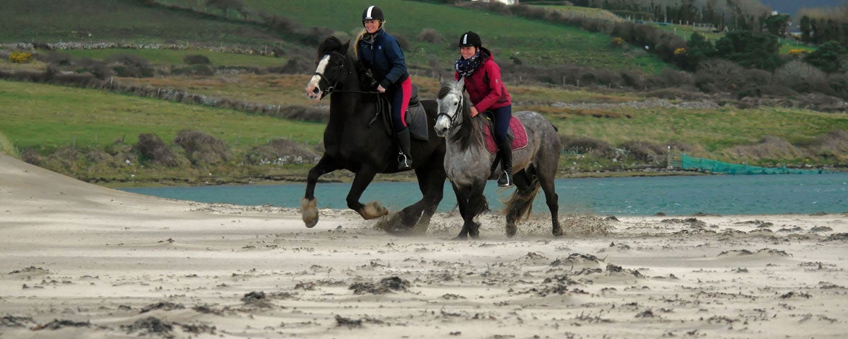 Visit Island View Riding Stables with Discover Ireland