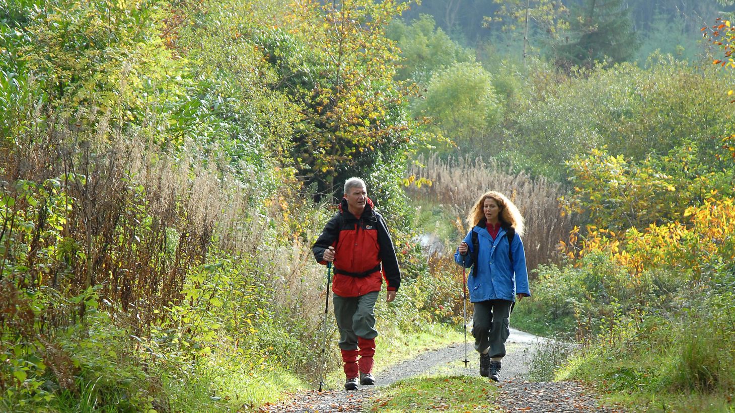 Check Out Ten Incredible Walking Holidays in Ireland