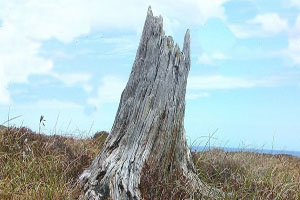 Visit Belderrig Valley Experience with Discover Ireland