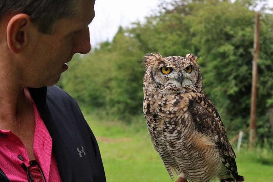 Visit Falconry Kerry with Discover Ireland