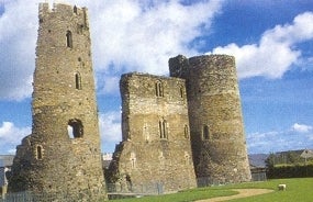 Visit Ferns Castle with Discover Ireland