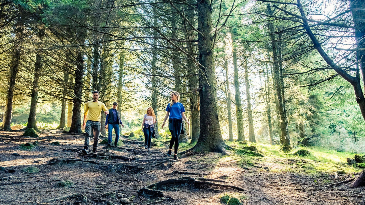 Explore 3 Stunning Walks in the Dublin Mountains