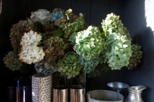 Visit Strandfield Café with Discover Ireland