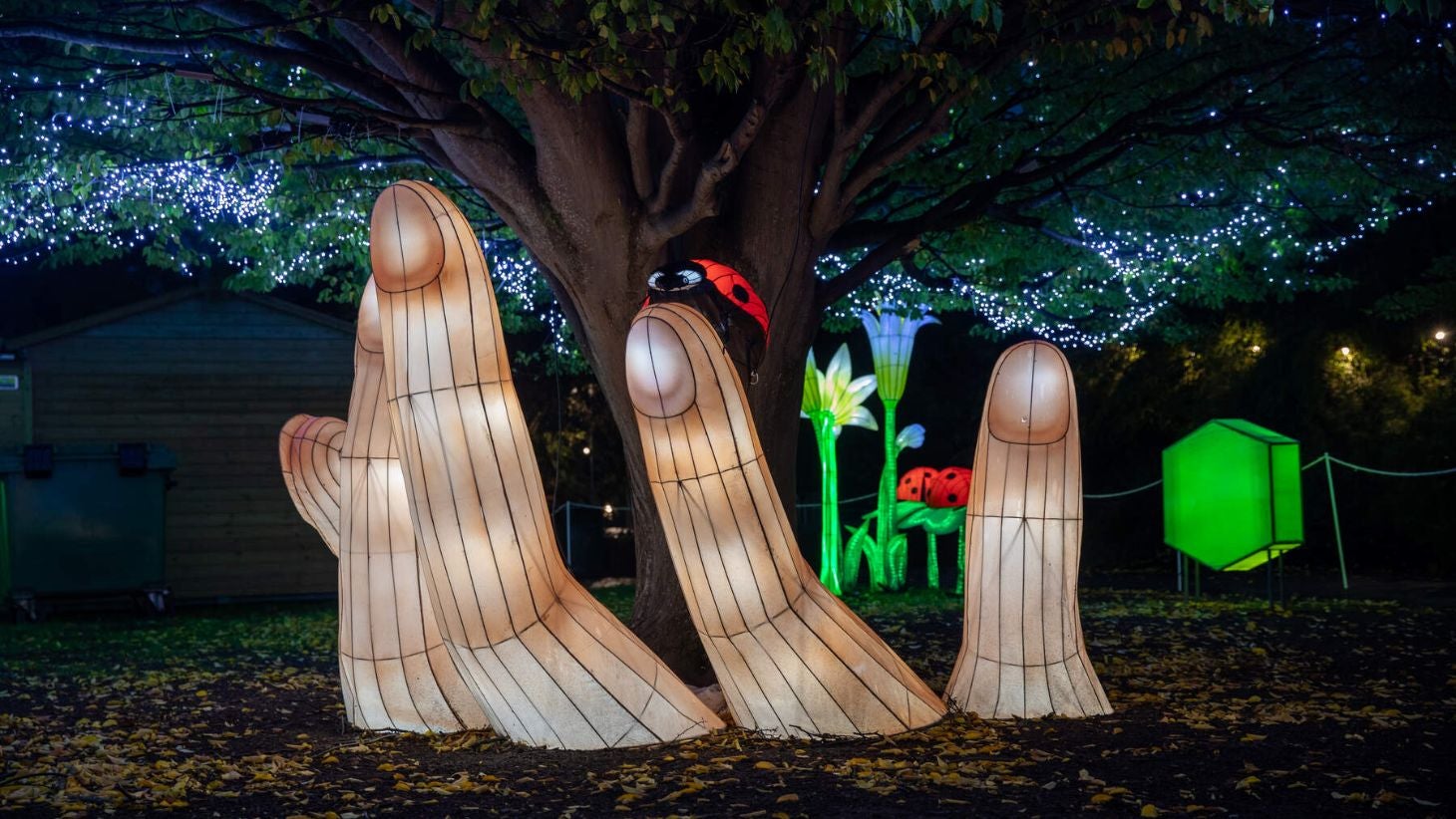 Fun Family Christmas Activities in Dublin with Visit Dublin