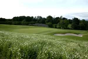 Visit Ballyneety Golf Club with Discover Ireland