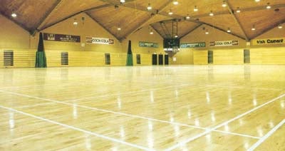 Visit National Basketball Arena with Discover Ireland