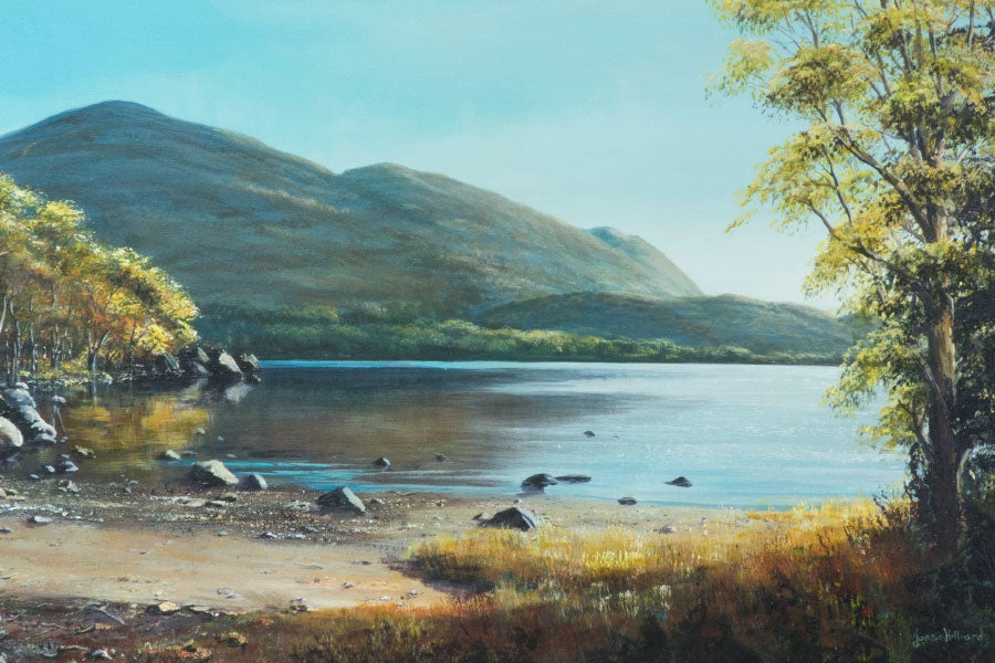 Visit Jane Hilliard Gallery with Discover Ireland
