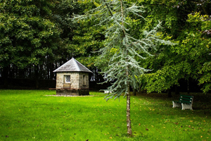 Visit Creative Ardagh with Discover Ireland