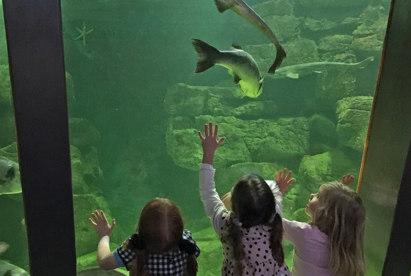 Visit Galway Atlantaquaria with Discover Ireland