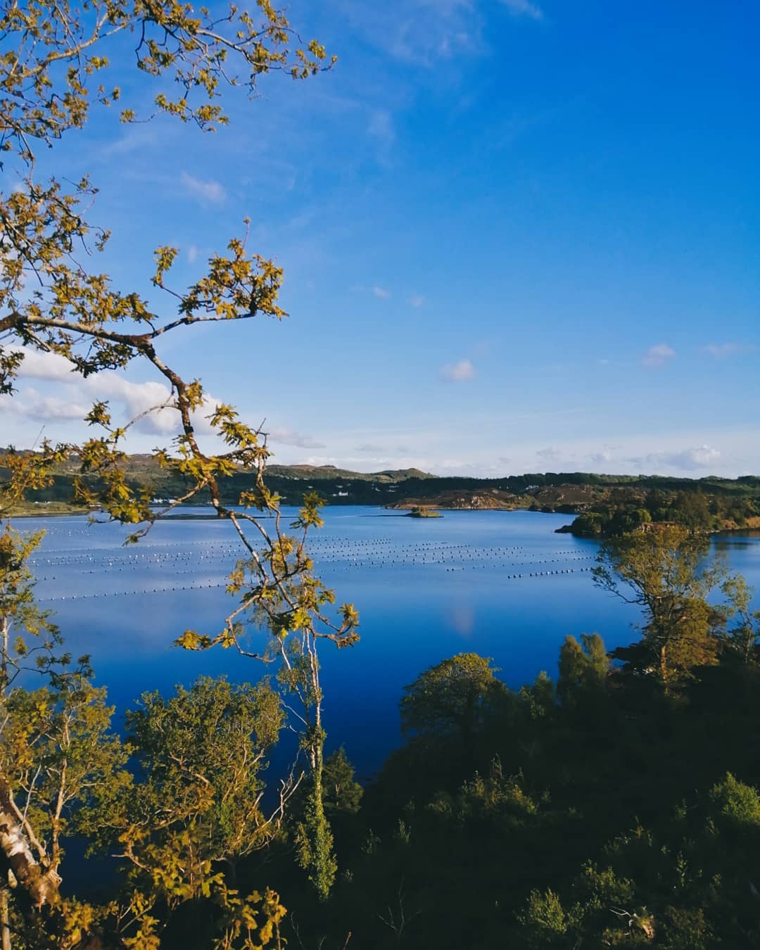 Explore the Mulroy Drive