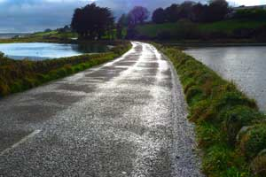 Visit Kilbrittain Trails Estuary Walk with Discover Ireland
