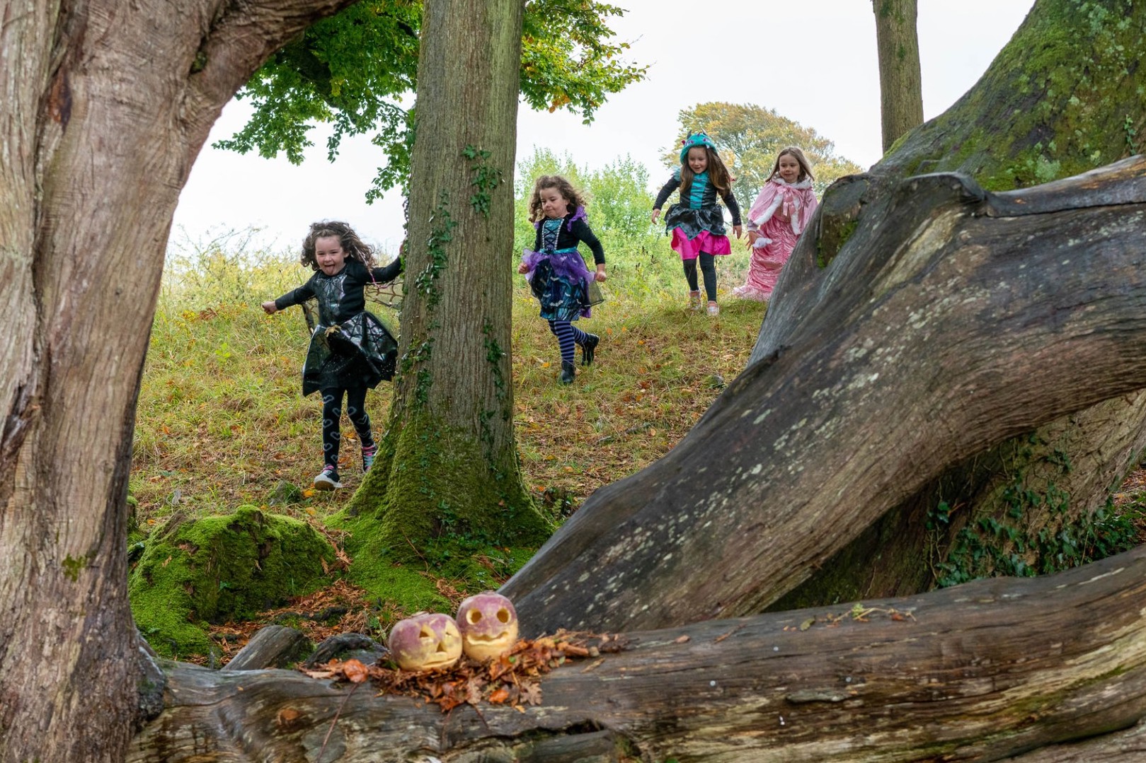 Visit Halloween Storytelling at the Museum with Discover Ireland