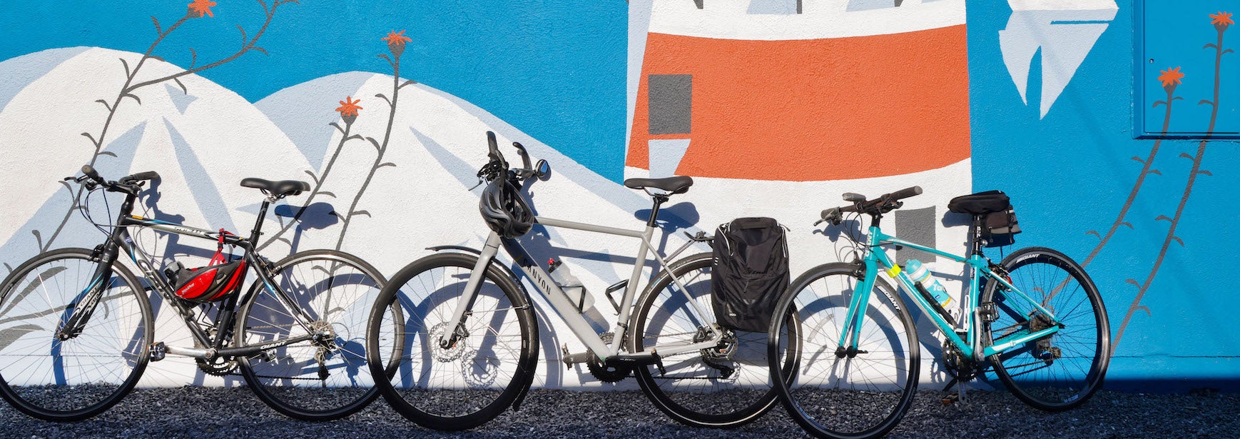 Explore the Kingdom of Kerry Greenways